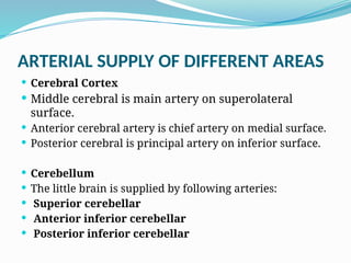 BLOOD SUPPLY OF BRAIN (Basic Anatomy and Physiology) | PPTX