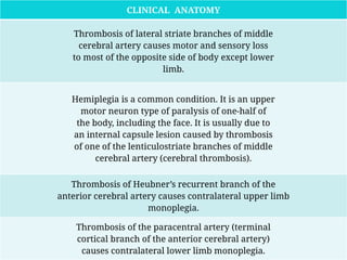 BLOOD SUPPLY OF BRAIN (Basic Anatomy and Physiology) | PPTX