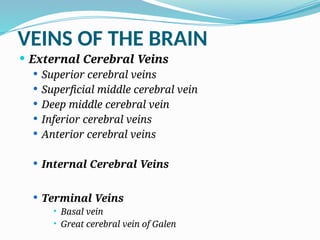 BLOOD SUPPLY OF BRAIN (Basic Anatomy and Physiology) | PPTX