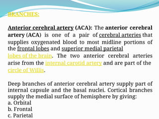 BLOOD SUPPLY OF BRAIN (Basic Anatomy and Physiology) | PPTX