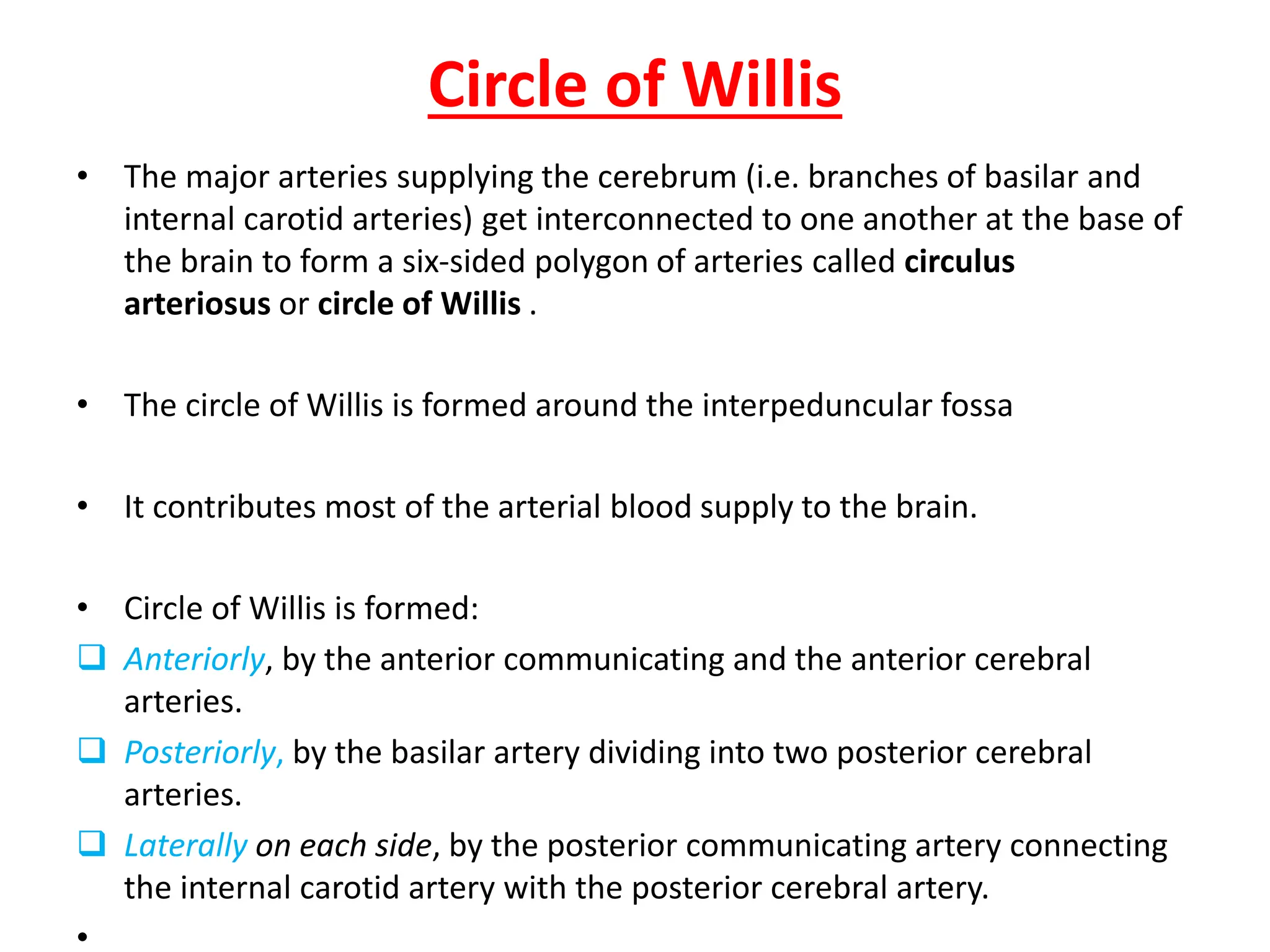 Blood supply of brain-convertedcircle of willis.pdf
