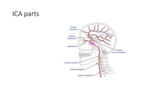 Blood supply of brain and cerebral autoregulation.pptx
