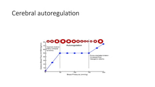 Blood supply of brain and cerebral autoregulation.pptx