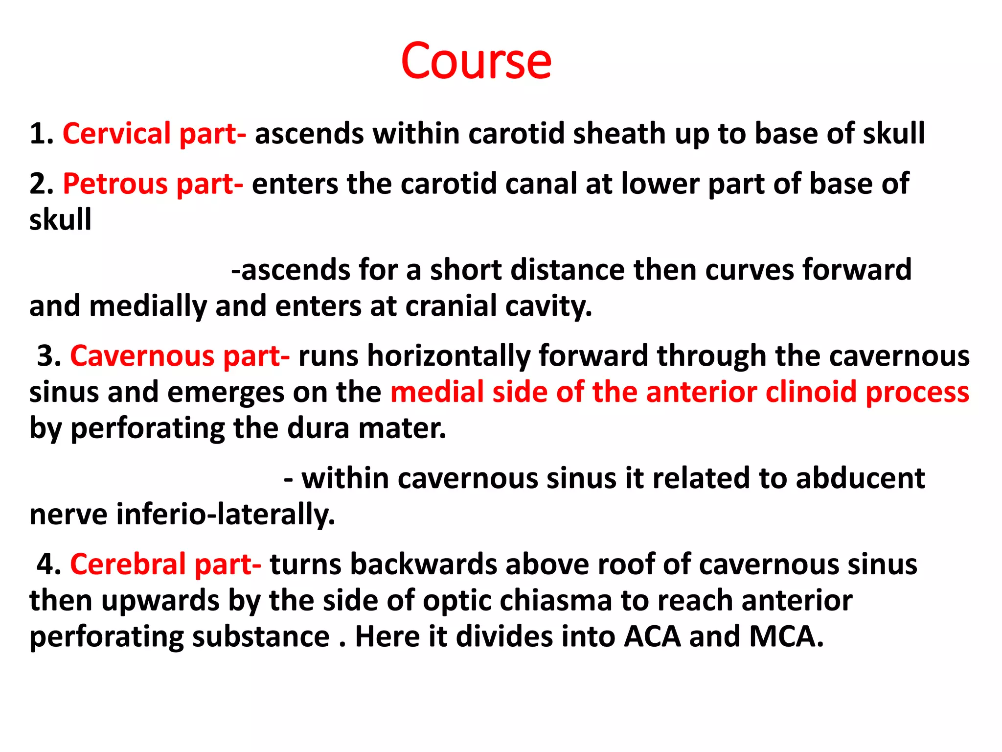 BLOOD SUPPLY of brain and spinal cord.pptx