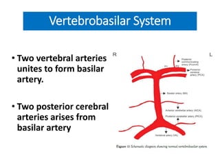 BLOOD SUPPLY of brain and spinal cord.pptx
