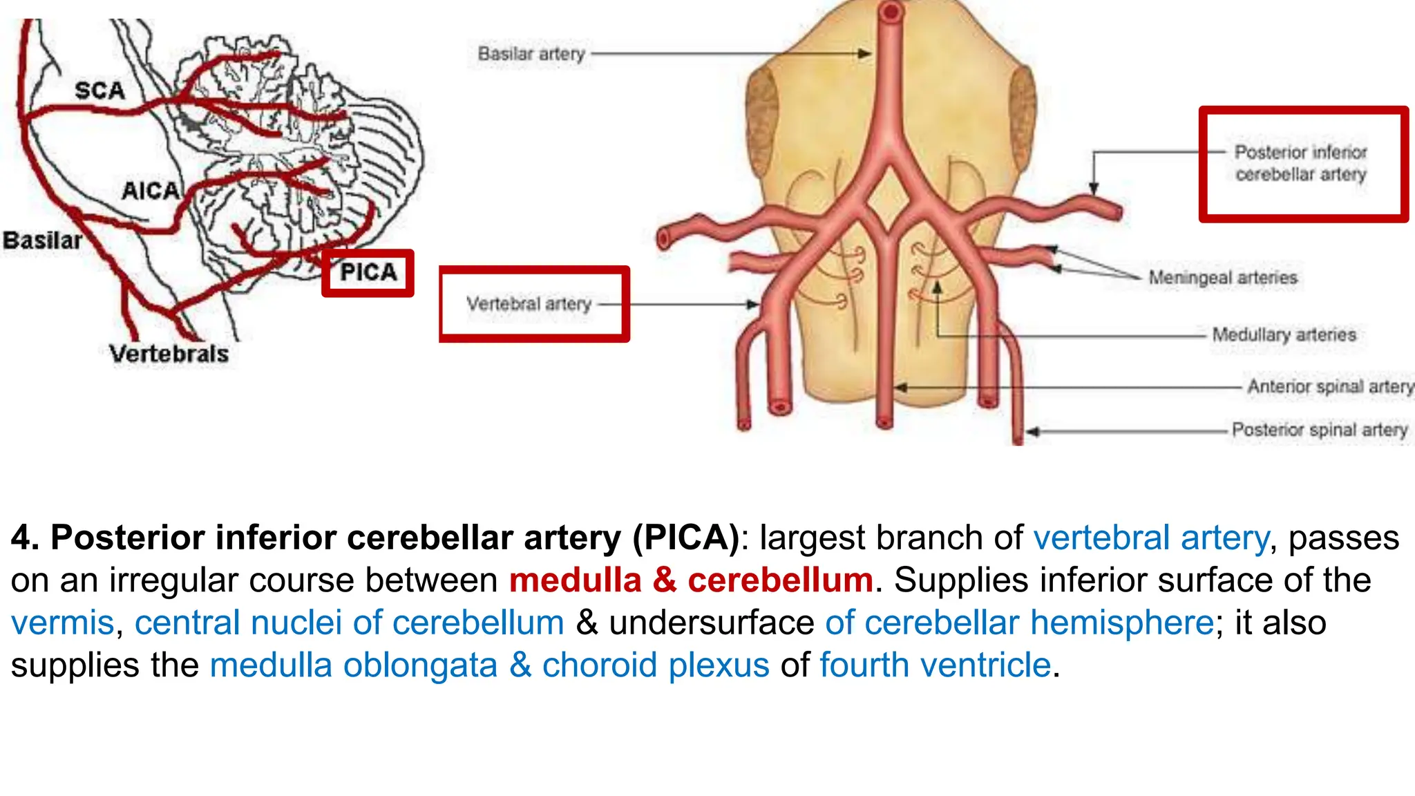 Blood Supply of Brain & Spinal Cord by Dr. Rabia Inam Gandapore.pptx