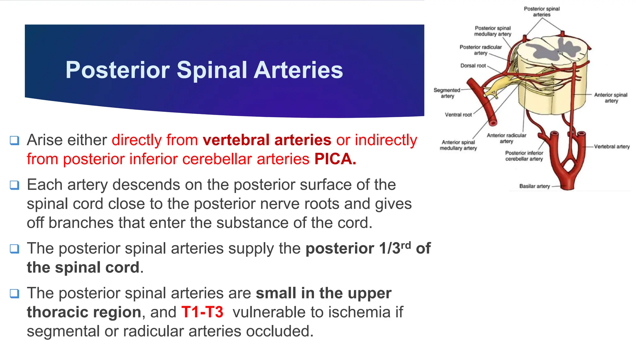 Blood Supply of Brain & Spinal Cord by Dr. Rabia Inam Gandapore.pptx