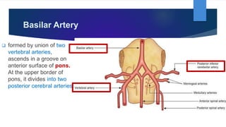 Blood Supply of Brain & Spinal Cord by Dr. Rabia Inam Gandapore.pptx