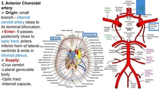 Blood Supply of Brain & Spinal Cord by Dr. Rabia Inam Gandapore.pptx
