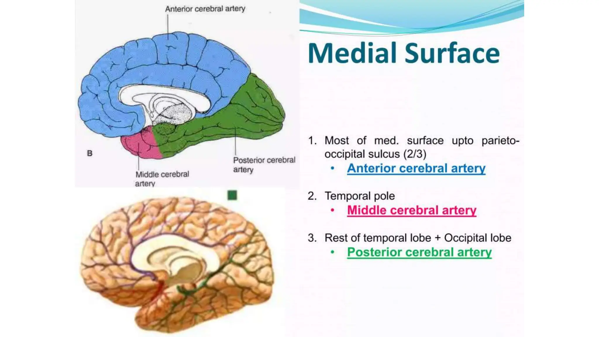 Blood Supply of CNS, blood brain barrier.pptx
