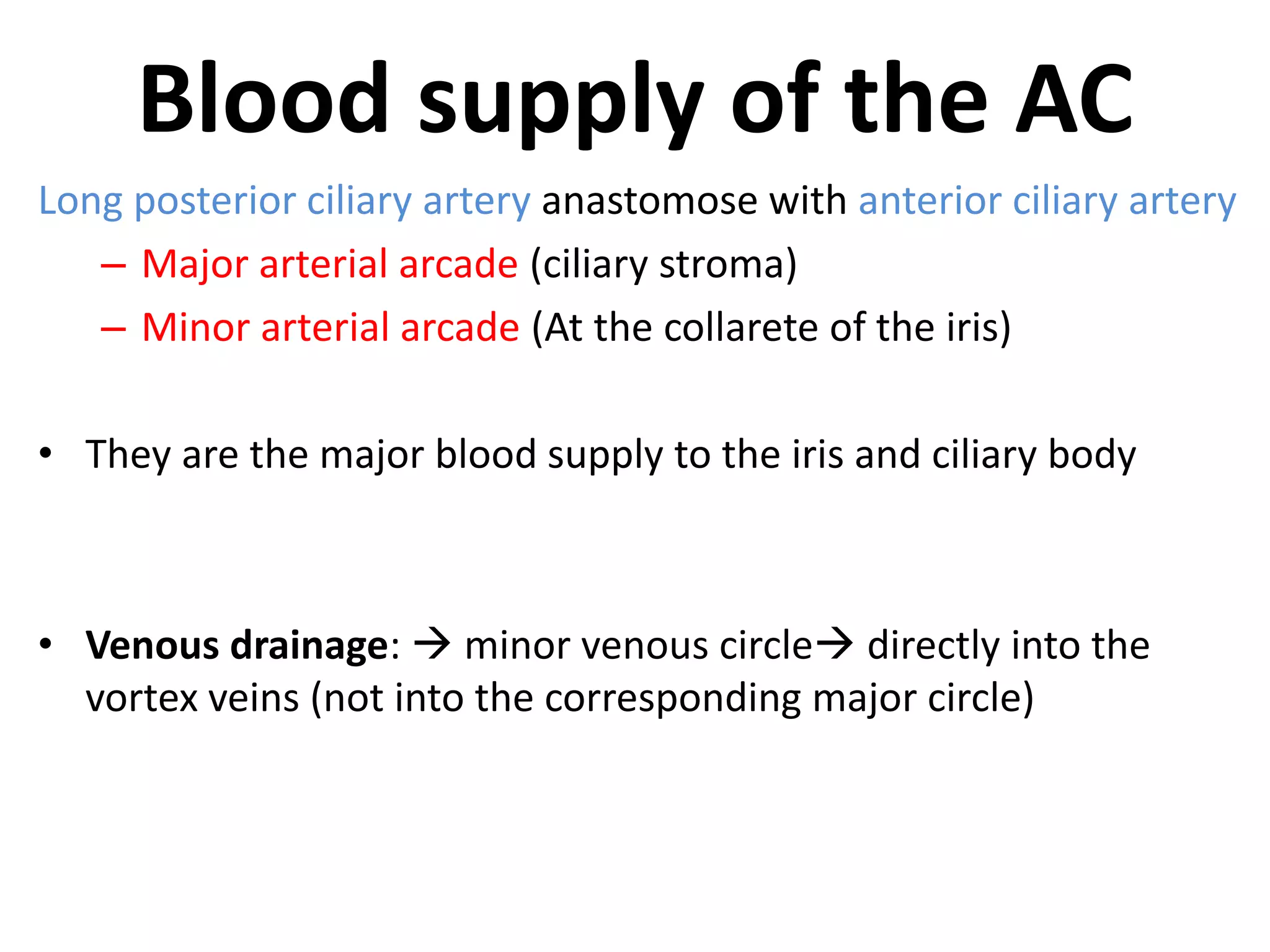 BLOOD AND NERVE SUPPLY OF EYE | PDF