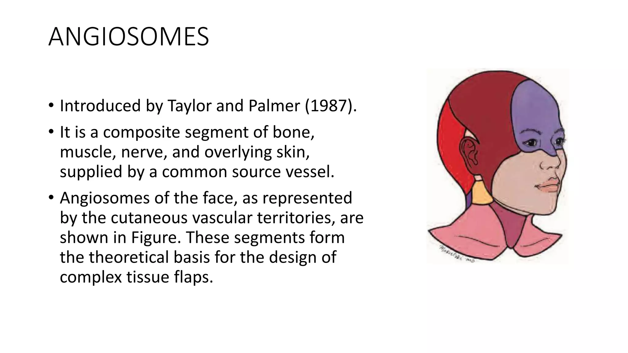 Blood supply of face | PPTX