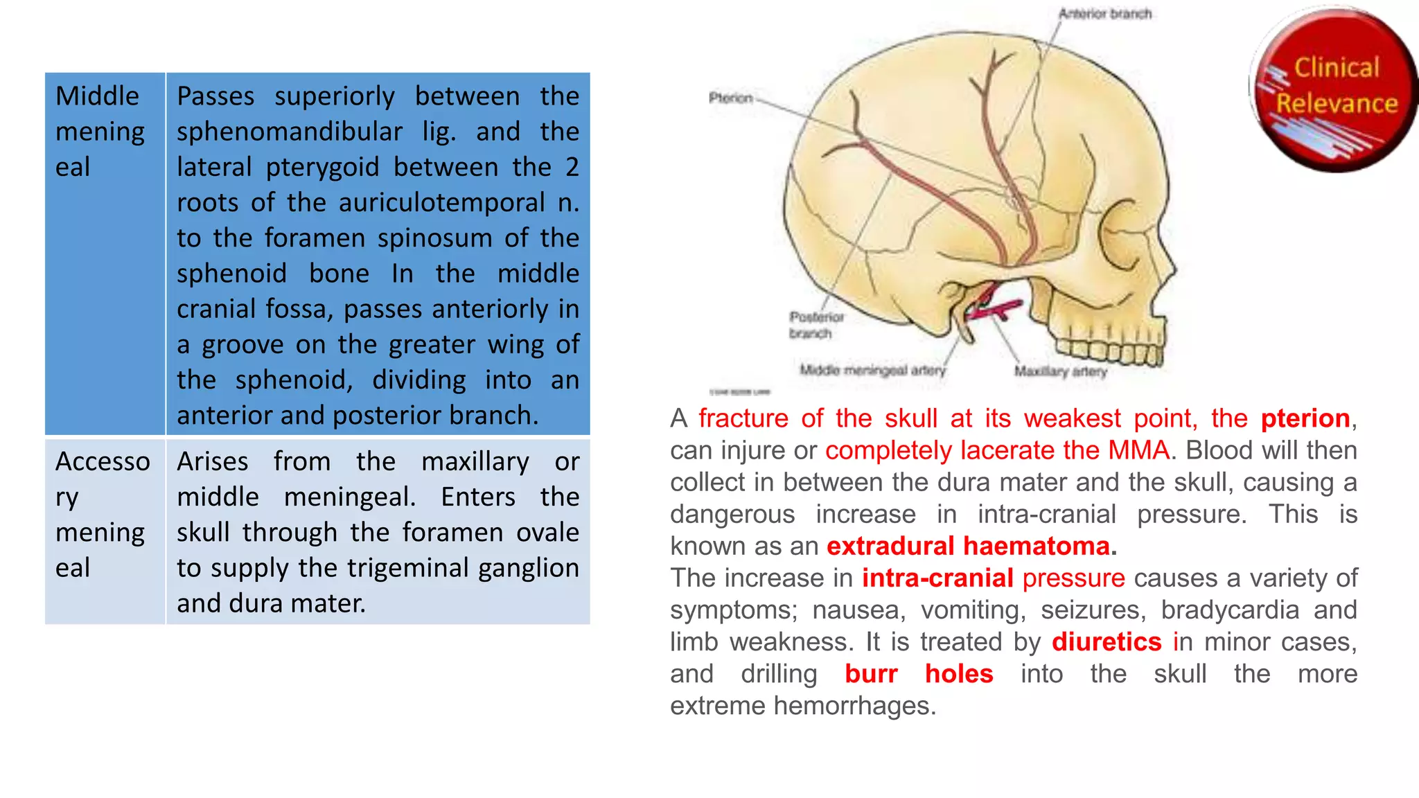 Blood supply of face | PPTX
