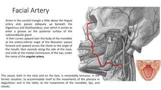 Blood supply of face | PPTX