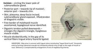 Blood supply of face | PPTX