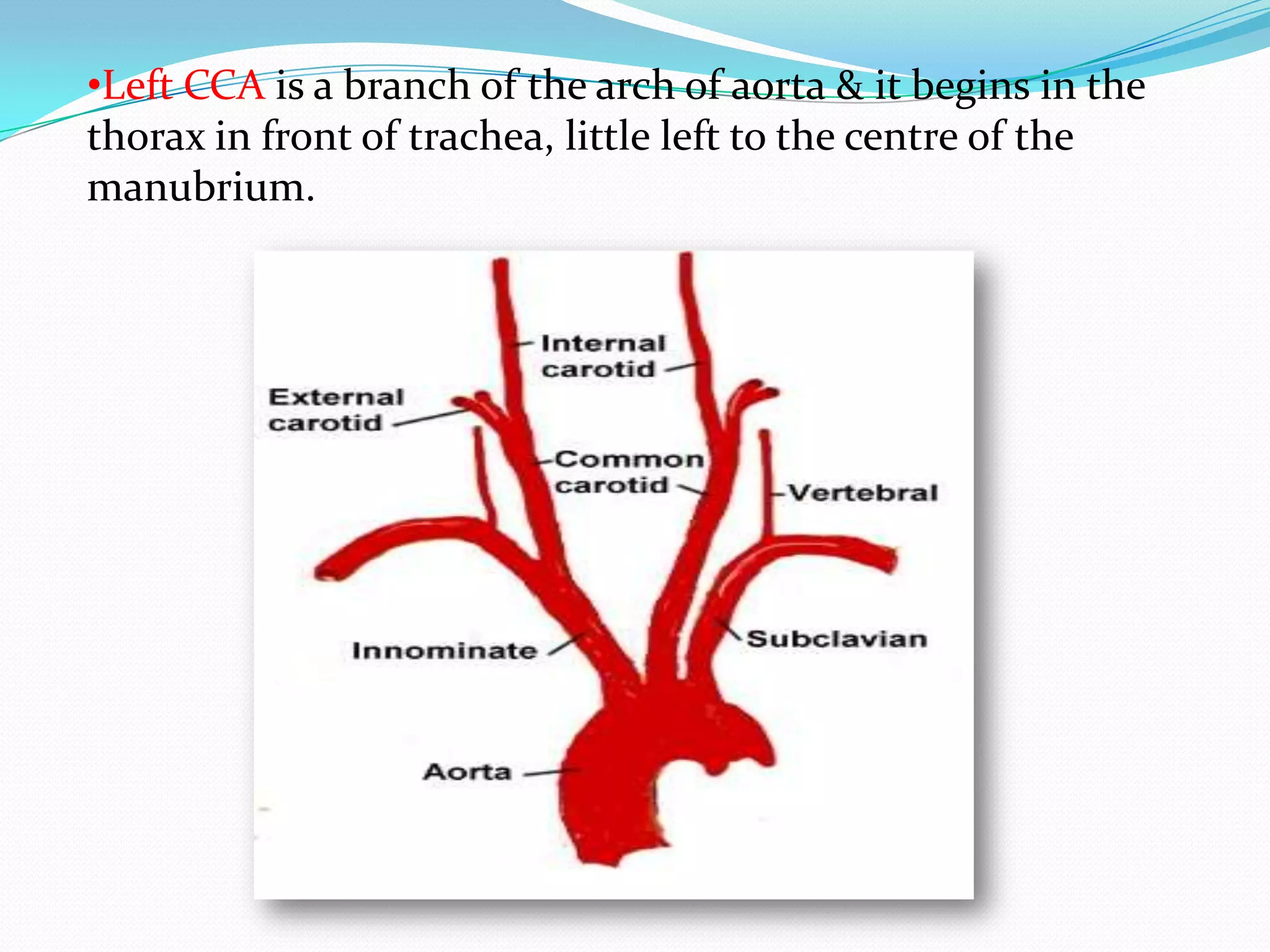Blood supply of face | PPTX