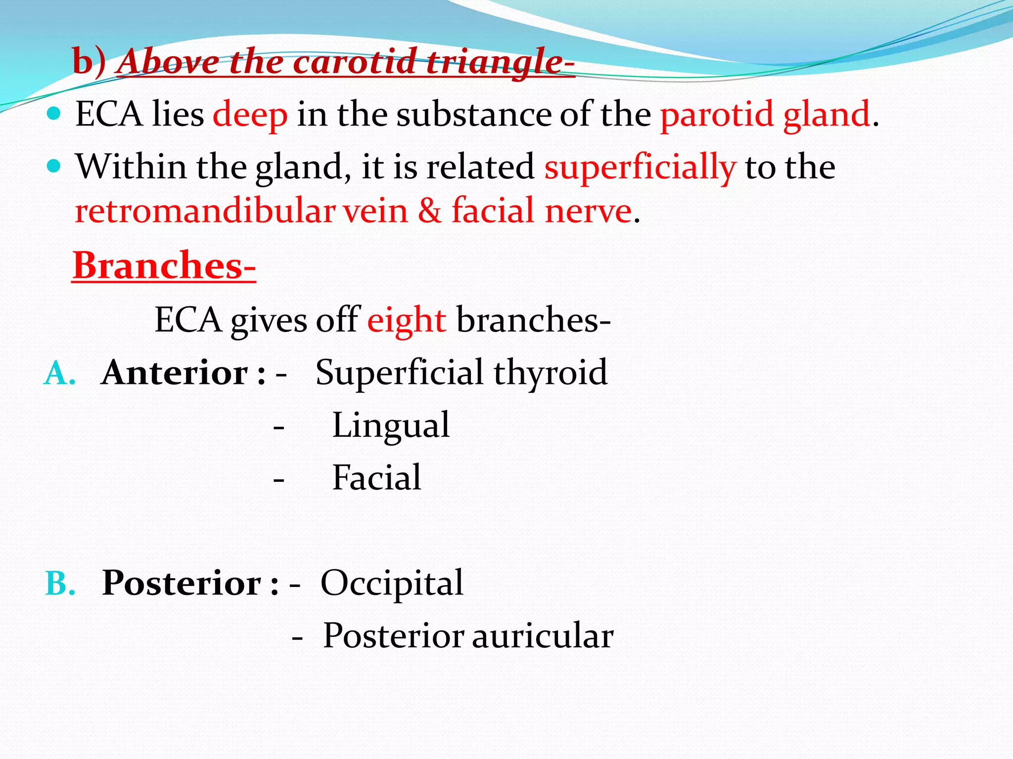 Blood supply of face | PPTX