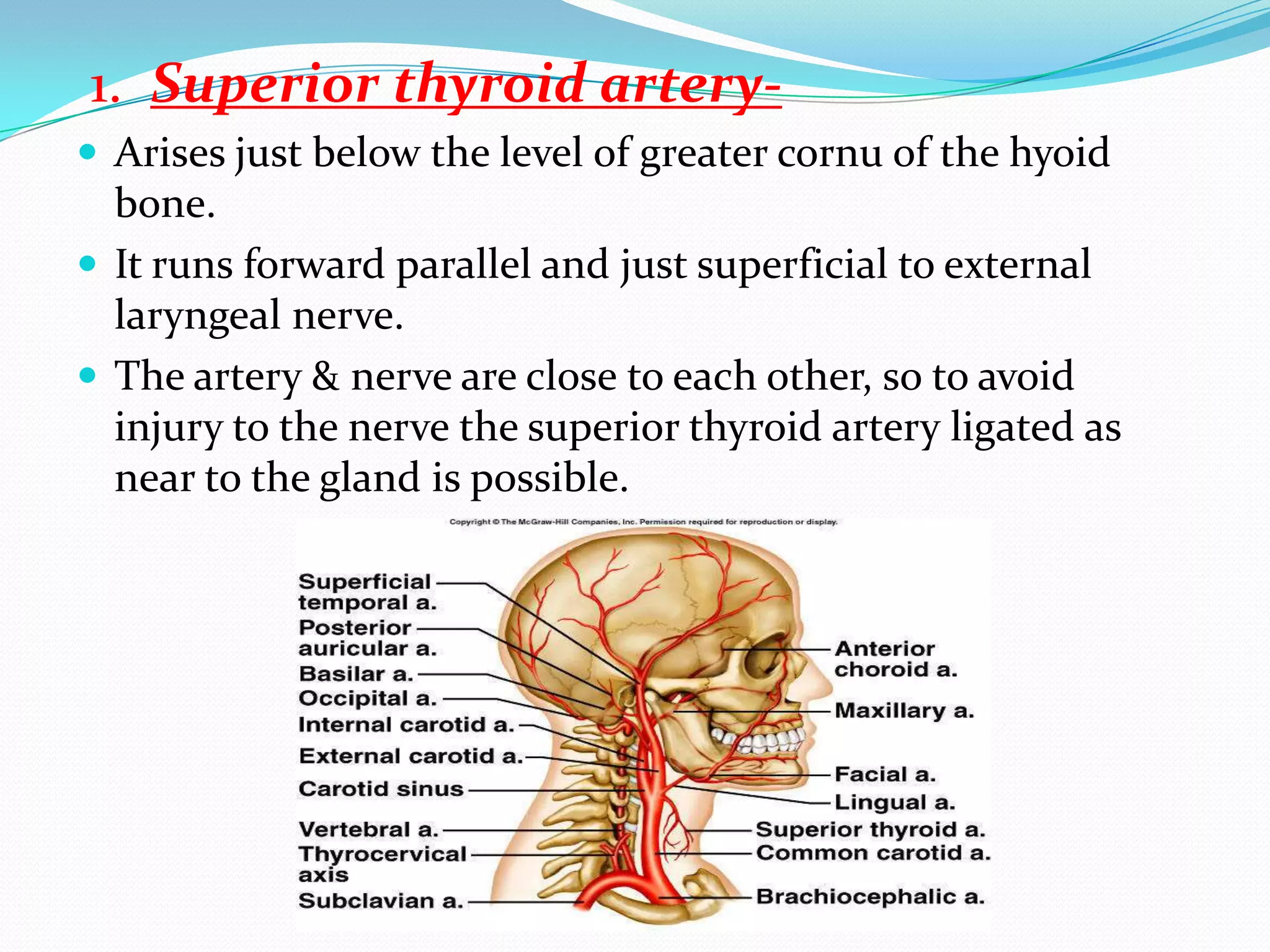 Blood supply of face | PPTX