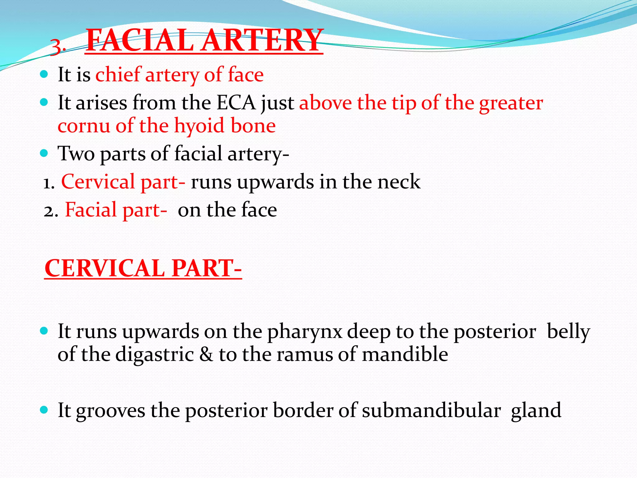 Blood supply of face | PPTX