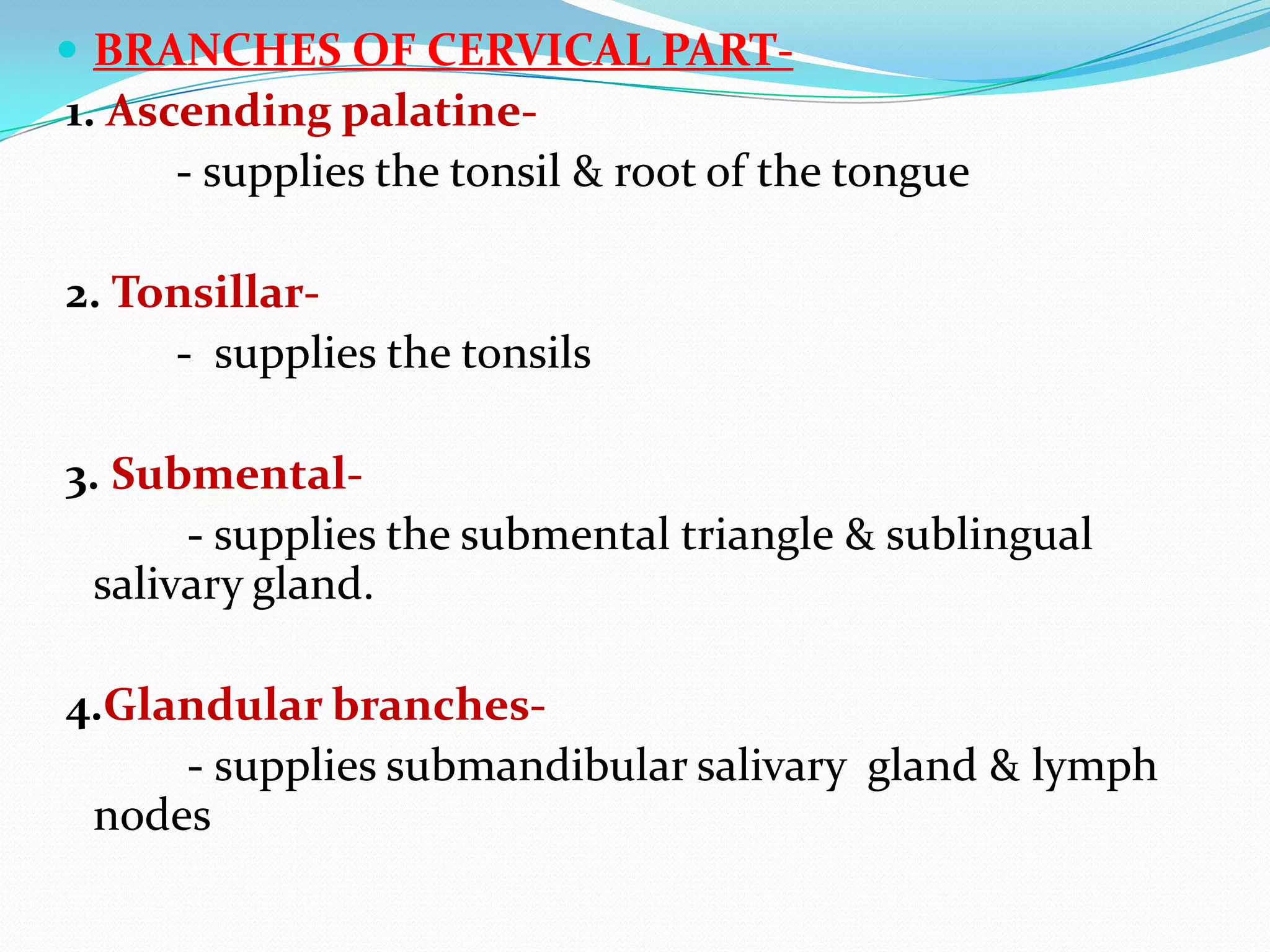 Blood supply of face | PPTX