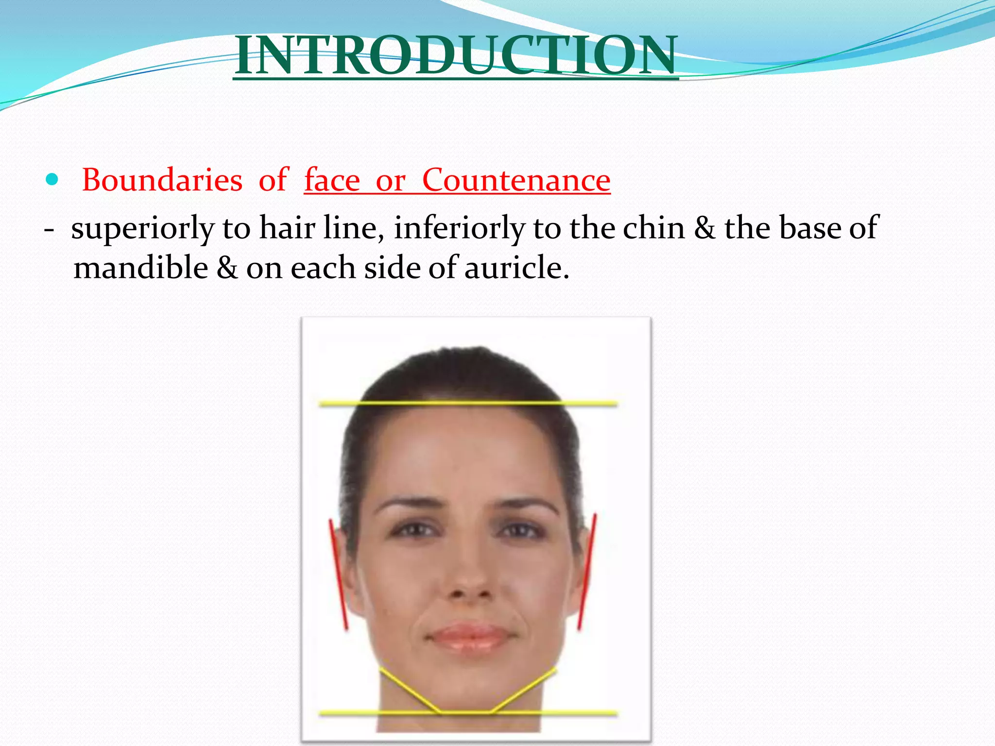 Blood supply of face | PPTX