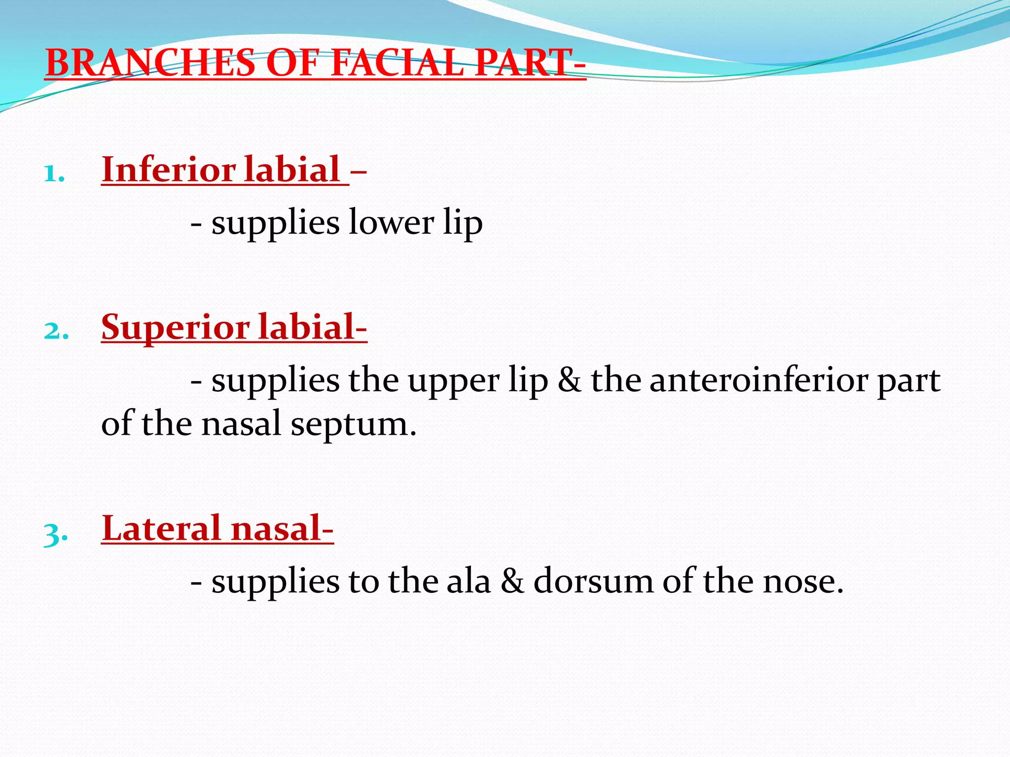 Blood supply of face | PPTX
