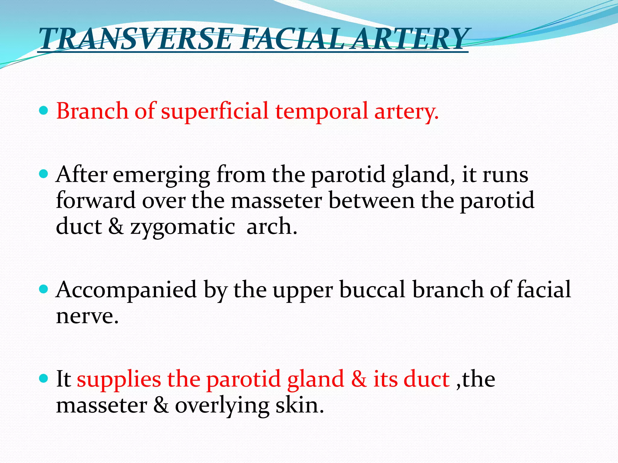 Blood supply of face | PPTX