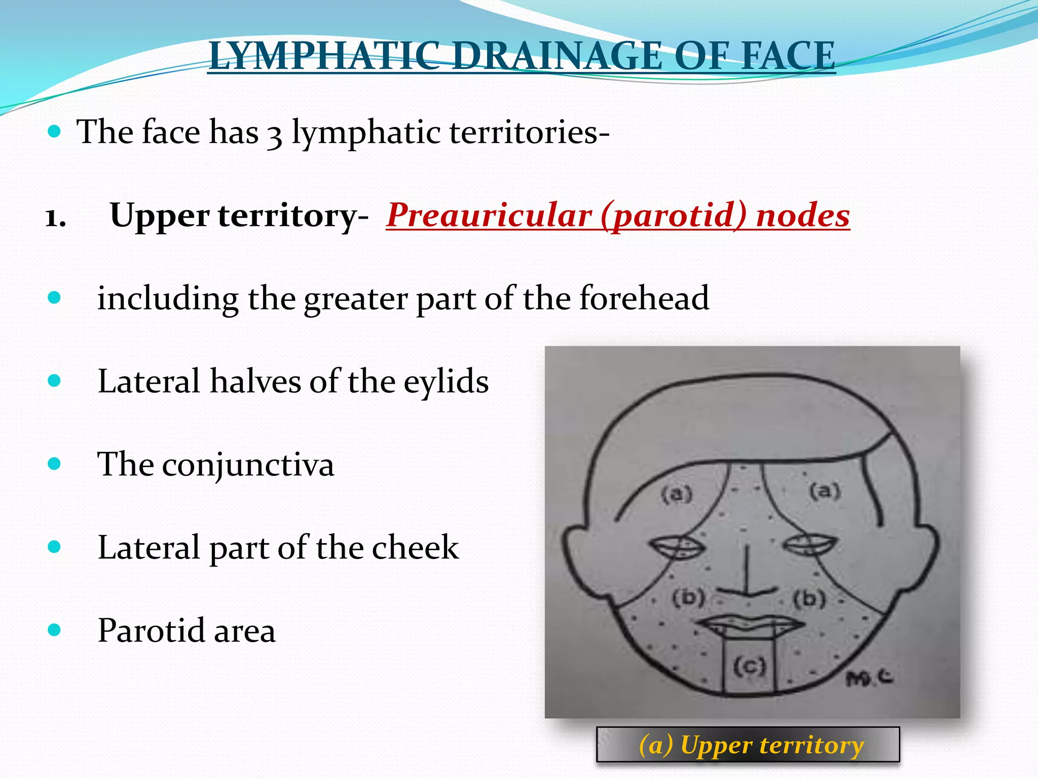 Blood supply of face | PPTX