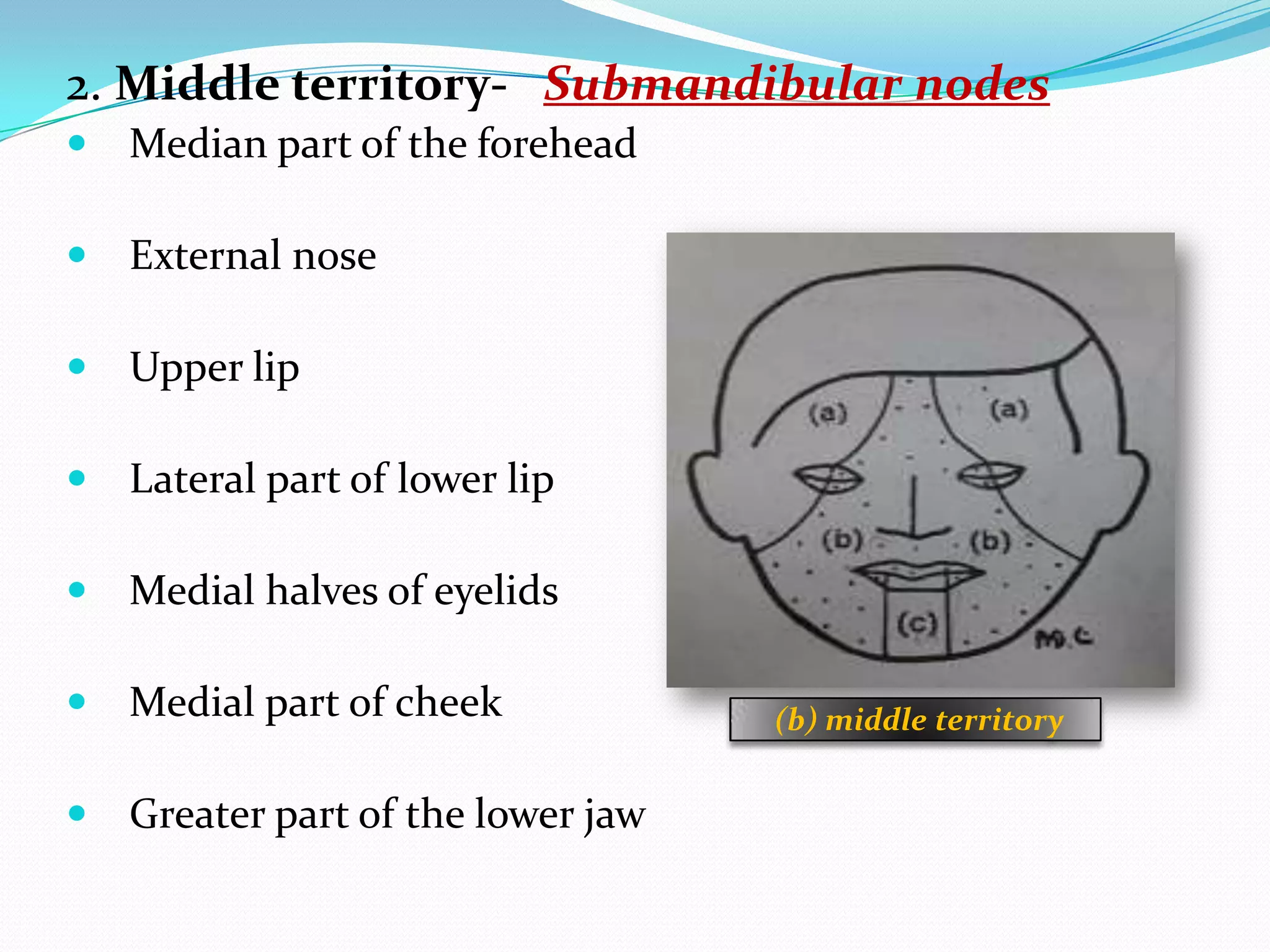 Blood supply of face | PPTX