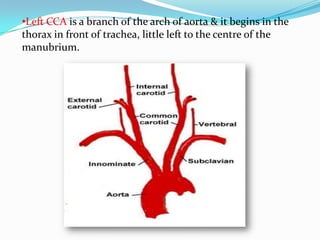 Blood supply of face | PPTX
