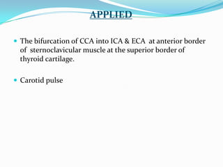Blood supply of face | PPTX