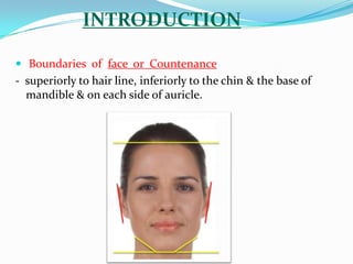 Blood supply of face | PPTX