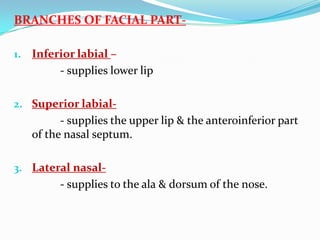 Blood supply of face | PPTX