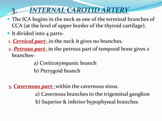 Blood supply of face | PPTX