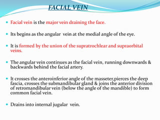 Blood supply of face | PPTX