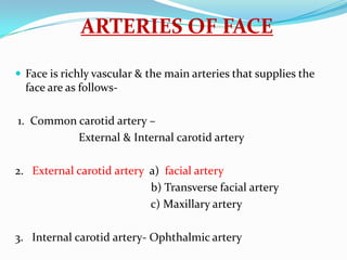 Blood supply of face | PPTX