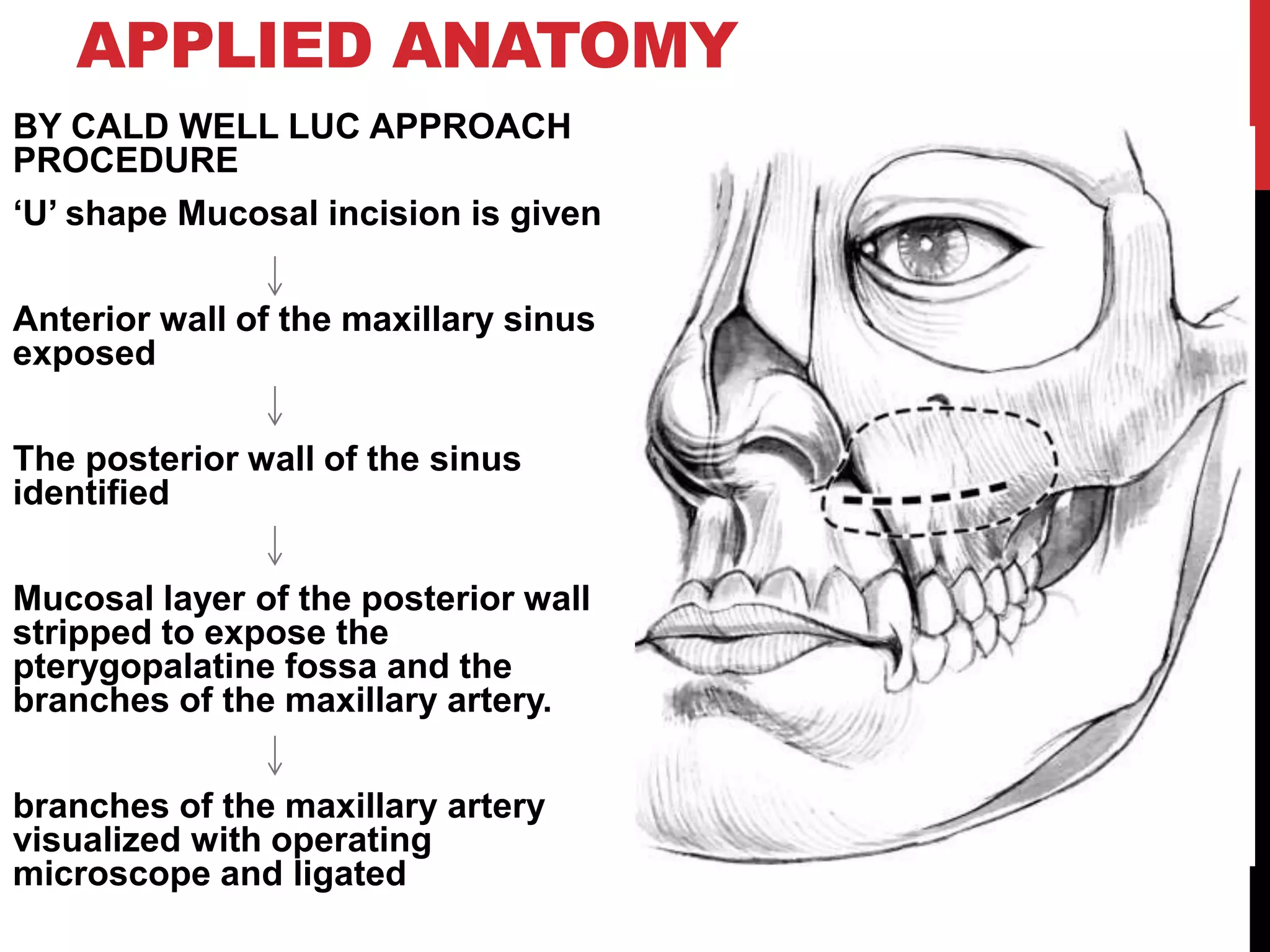 arterial supply of face | PPTX