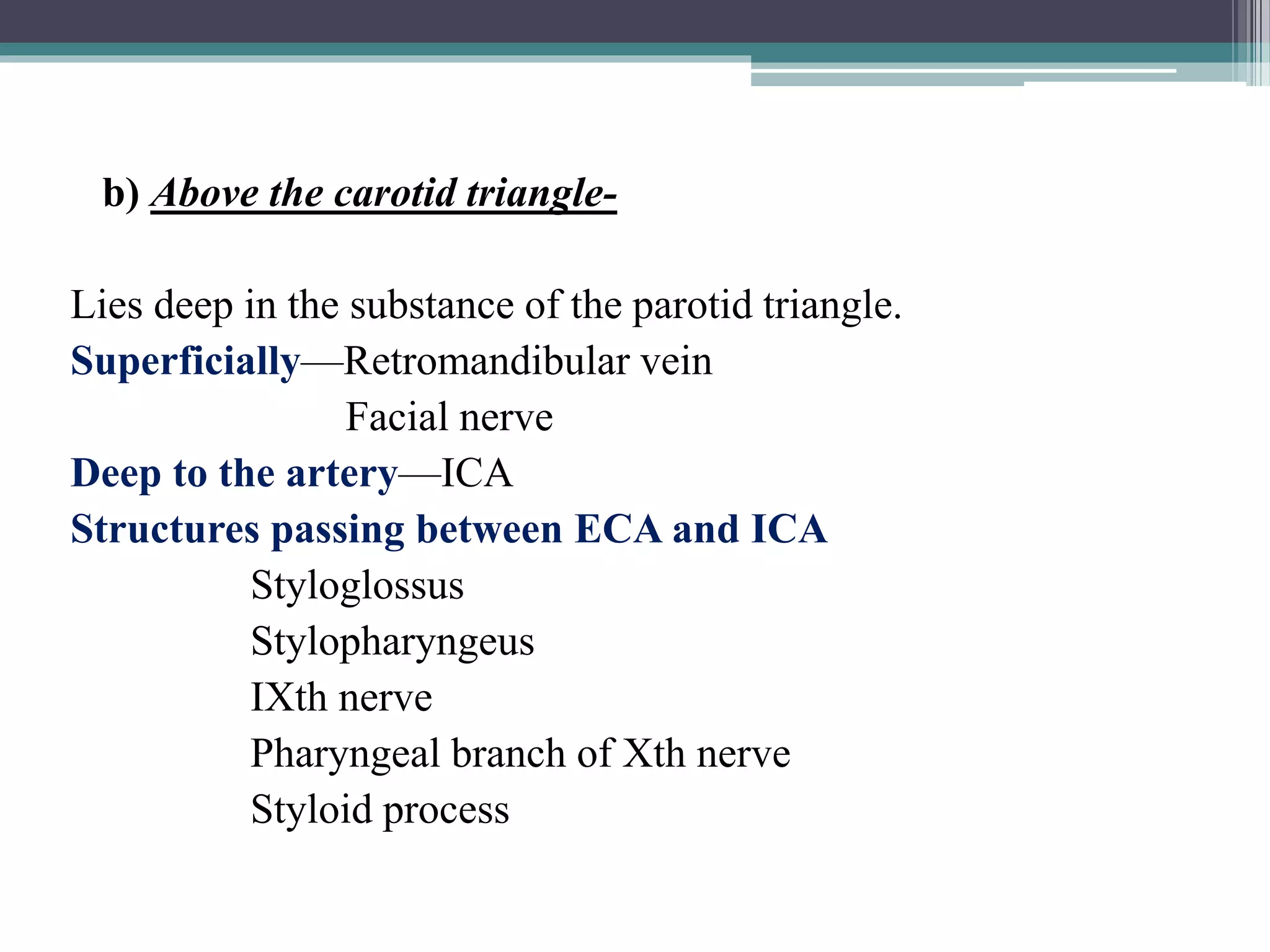 Arteries of Head and Neck | PPTX