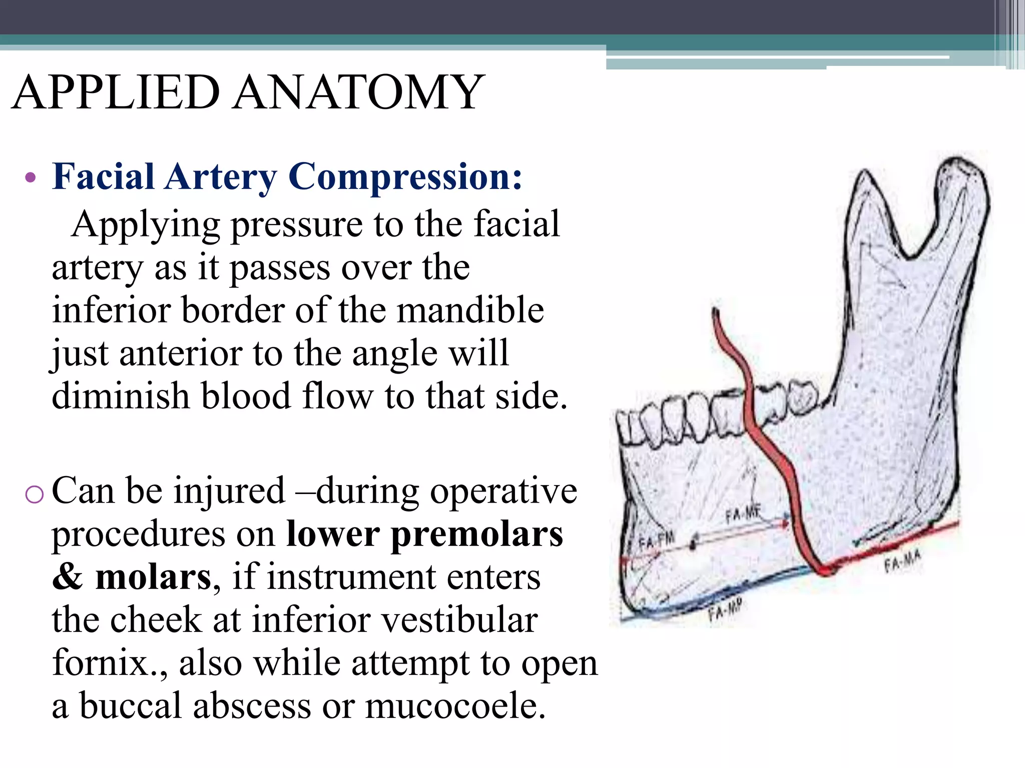 Arteries of Head and Neck | PPTX