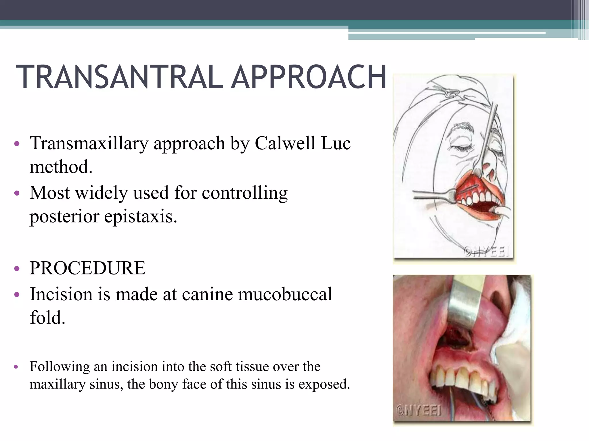 Arteries of Head and Neck | PPTX
