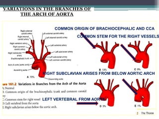 Arteries of Head and Neck | PPTX