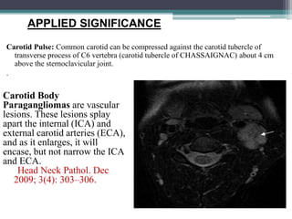 Arteries of Head and Neck | PPTX
