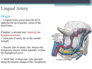 Arteries of Head and Neck | PPTX