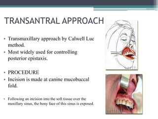 Arteries of Head and Neck | PPTX