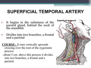 Arteries of Head and Neck | PPTX