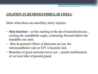 Arteries of Head and Neck | PPTX