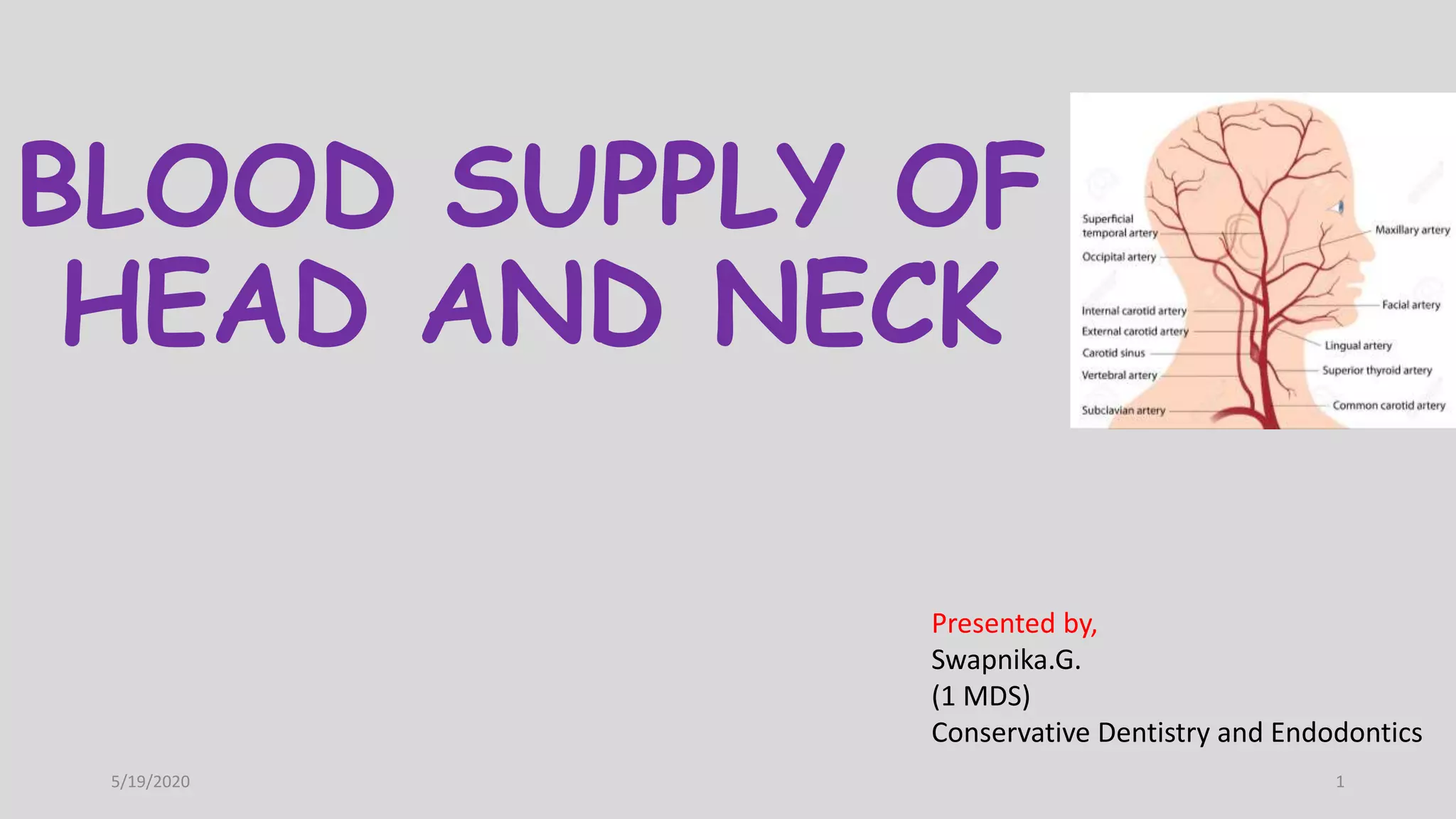Blood supply of head and neck | PPTX