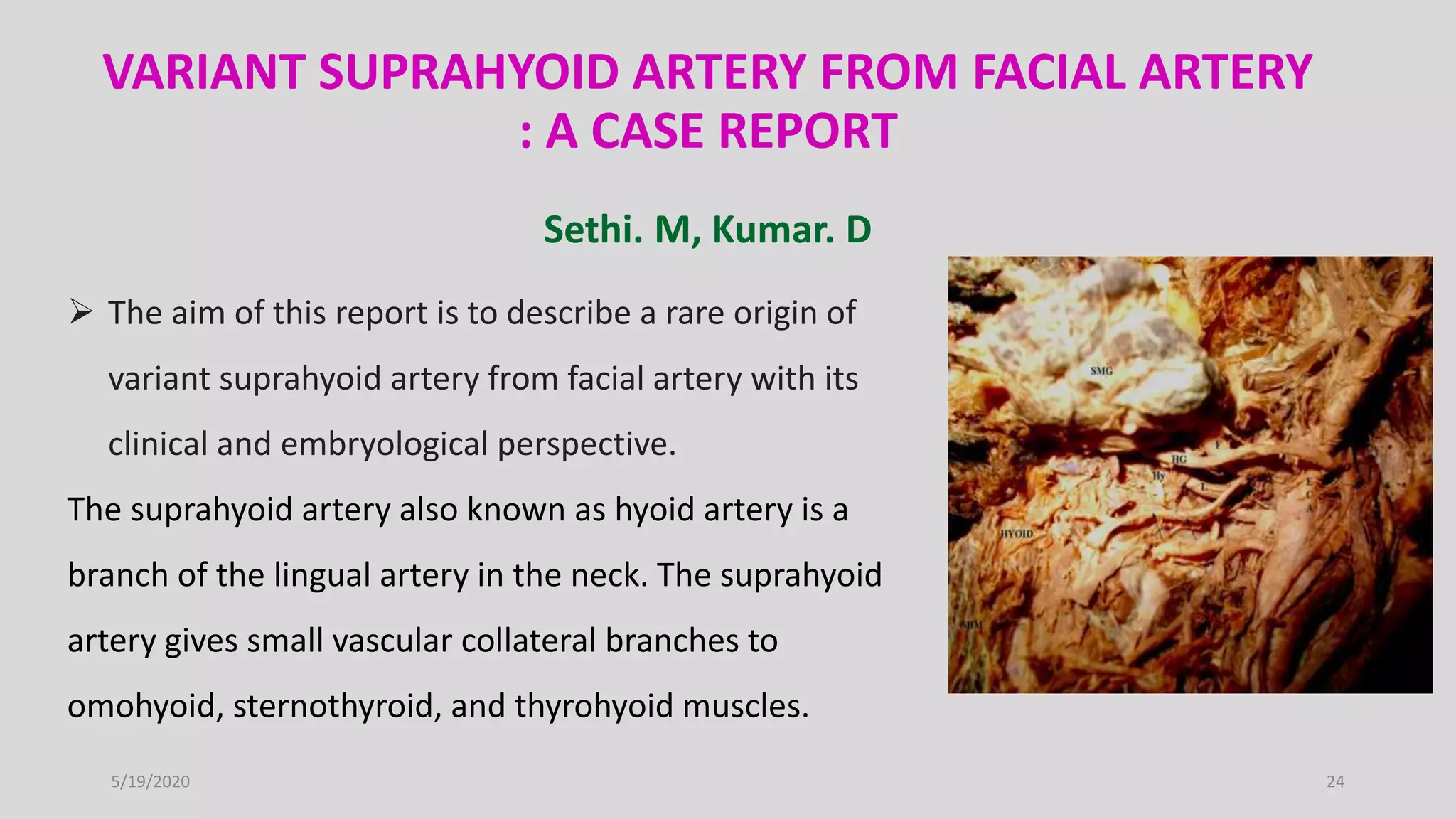 Blood supply of head and neck | PPTX