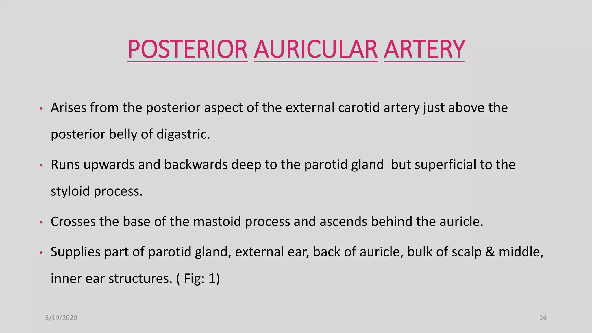 Blood supply of head and neck | PPTX
