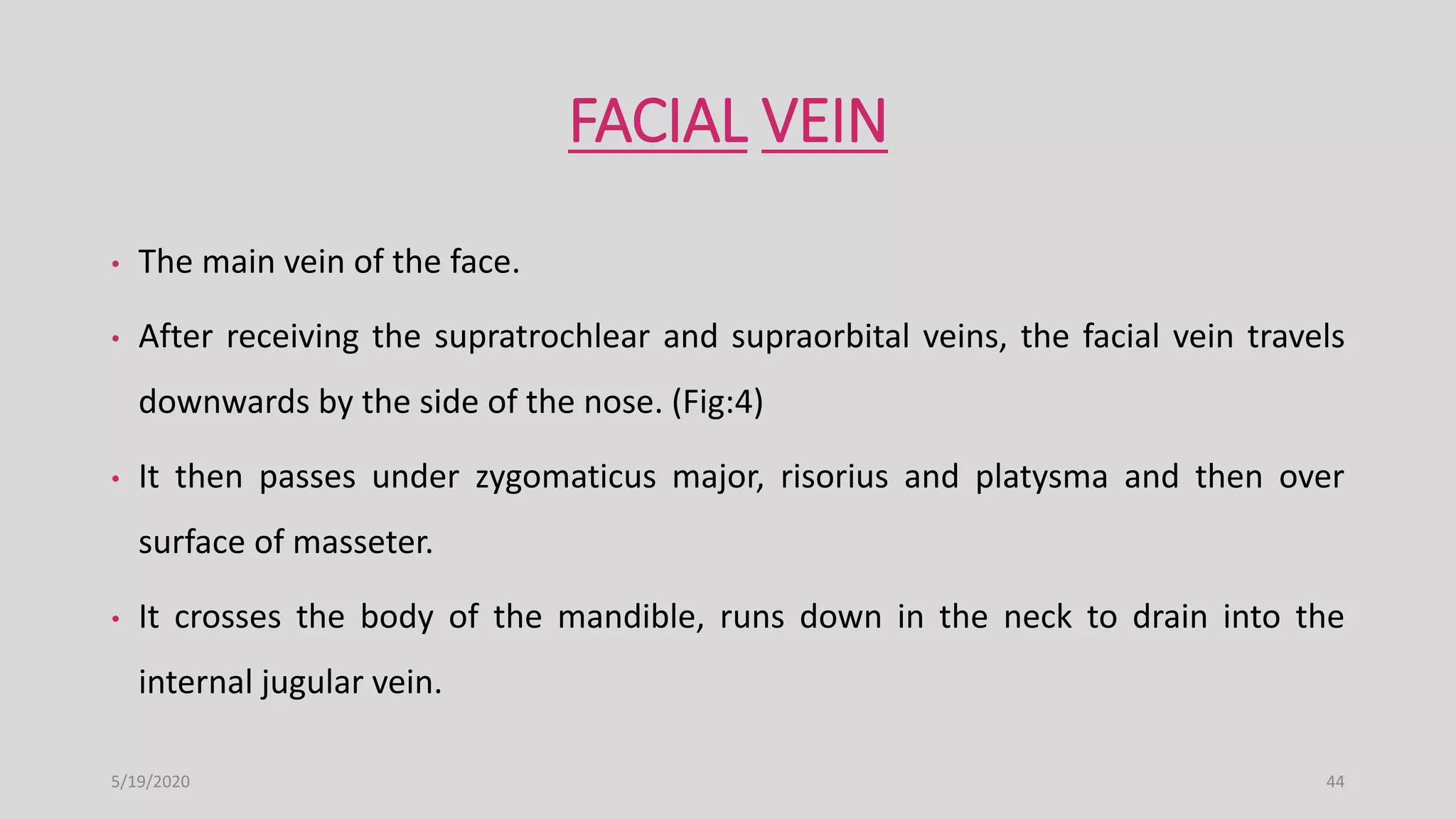 Blood supply of head and neck | PPTX